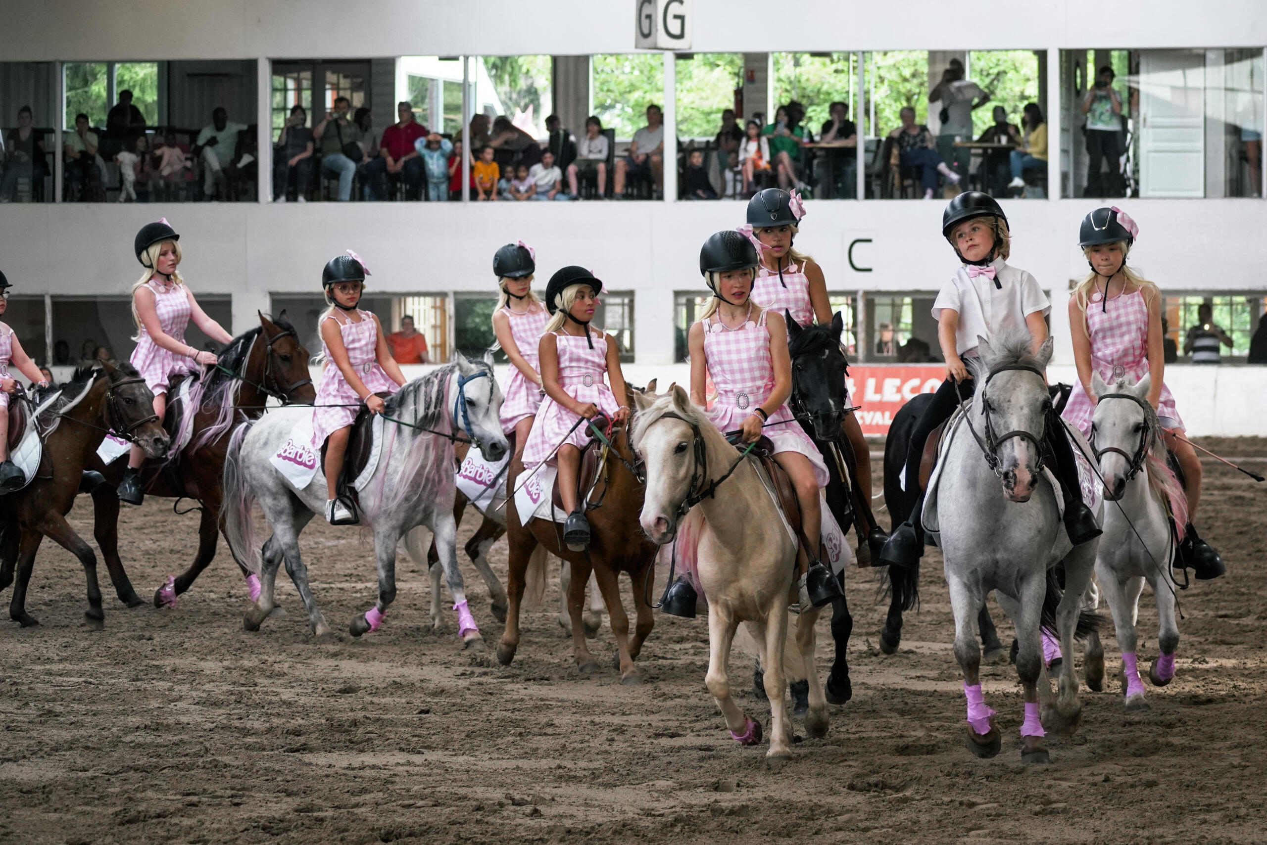 Photos de la fete du cheval 2023 - Centre Le Comte Hem